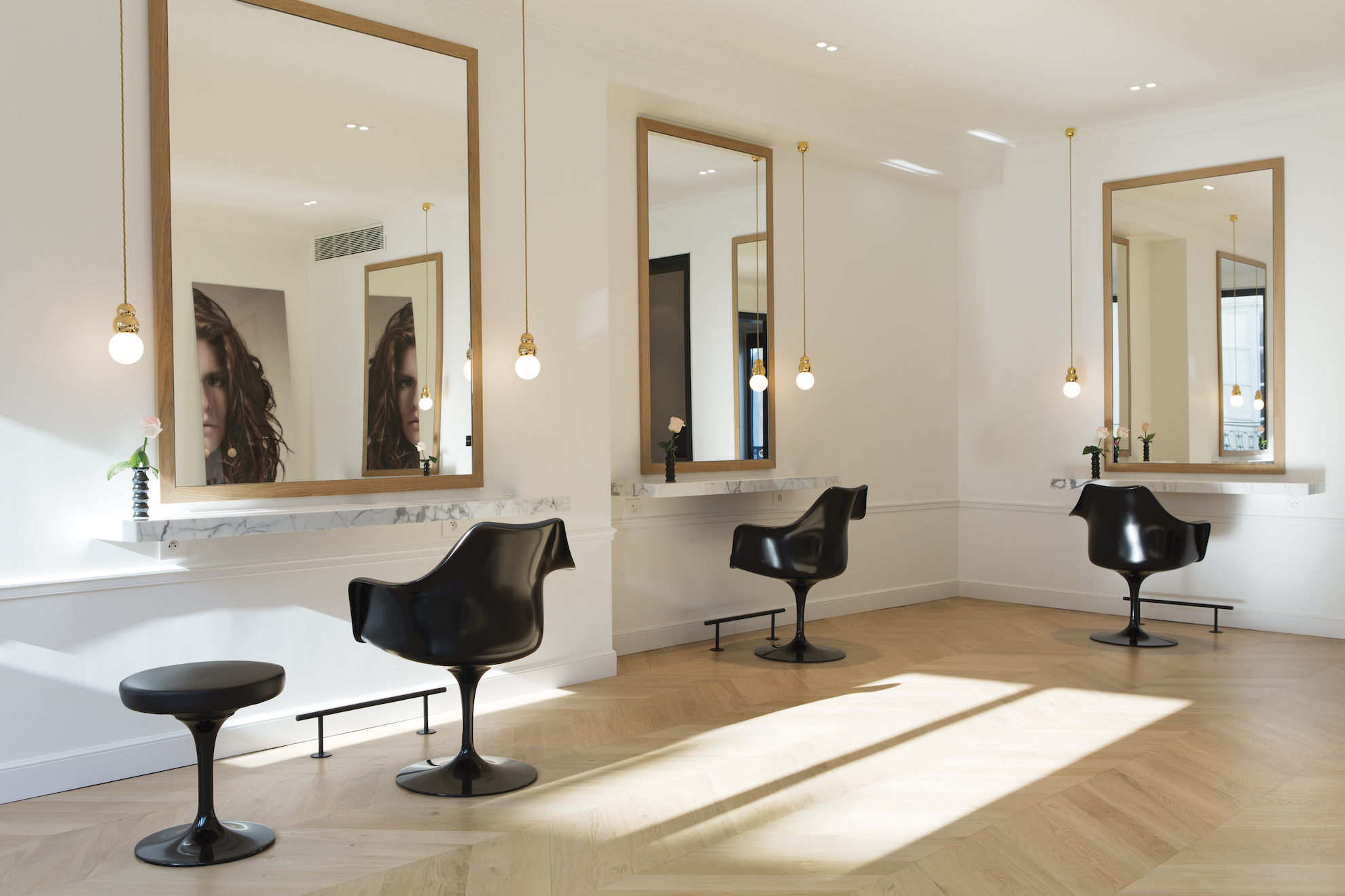 NOS SALONS - DAVID LUCAS