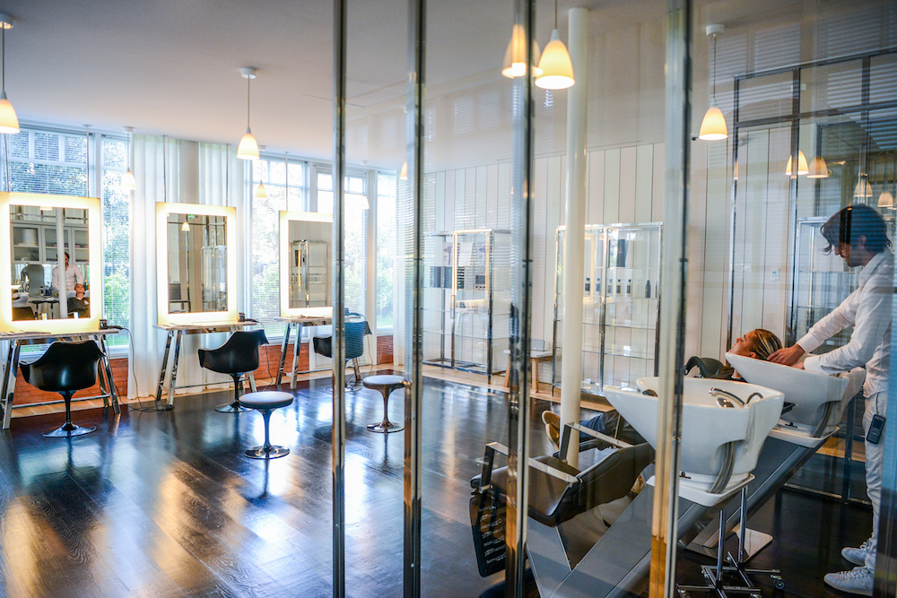 NOS SALONS - DAVID LUCAS